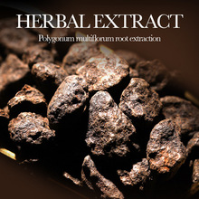 SADOER Ginseng and Polygonum multiflorum nourishing anti-breakage hair ...