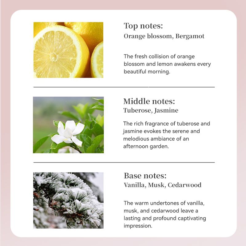 Ciorrter Noble Essence - Luxe Women's Perfume for Timeless Elegance ...